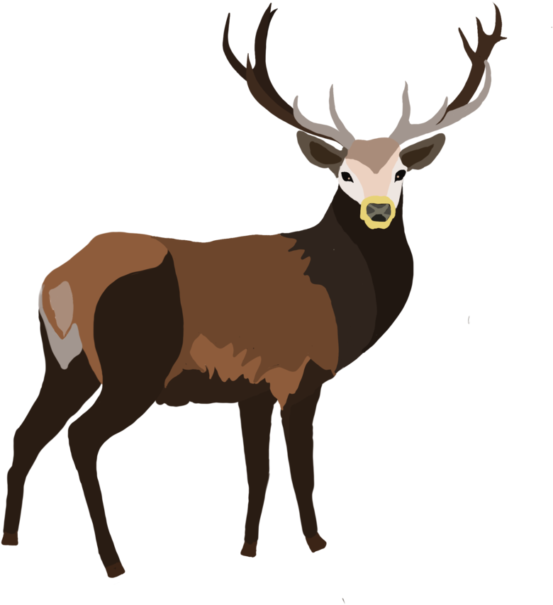 Download Stag PNG Image with No Background - PNGkey.com
