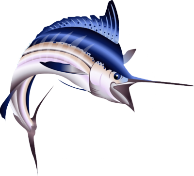 Download Marlin Psd - Peixe Marlin Png PNG Image with No Background ...
