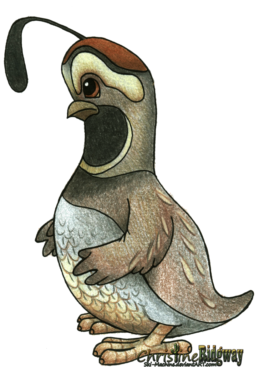 Download Warner Bros Quail - Quail Cartoon PNG Image with No Background ...