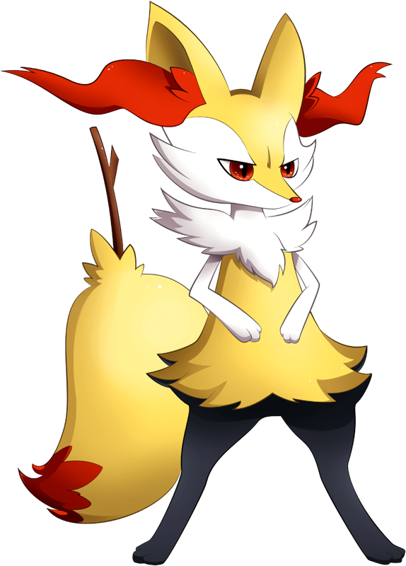 Braixen Pokemon Evolution