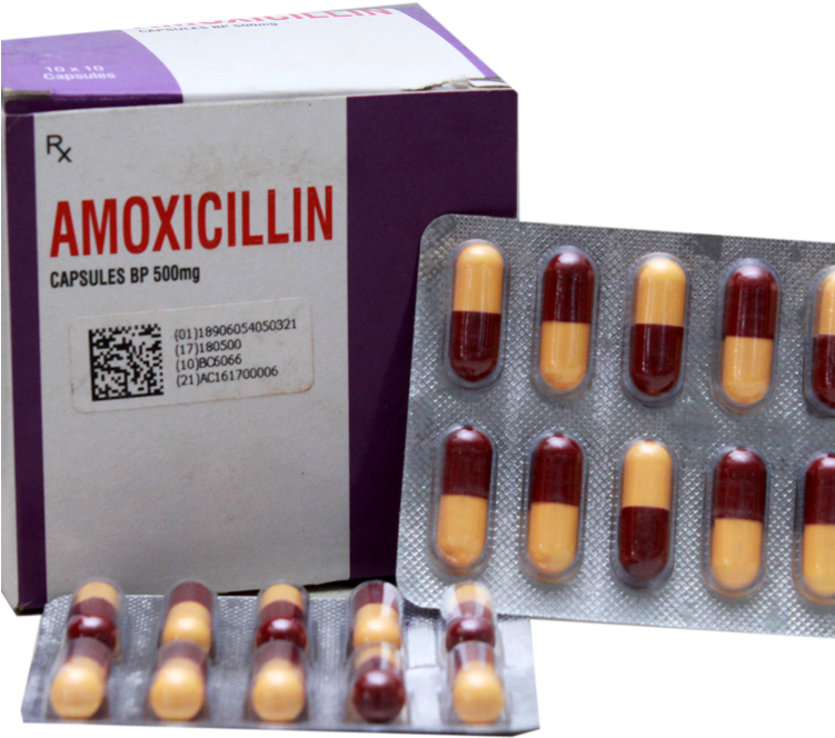 Download 02 Details - Amoxicillin Capsules Bp 500mg PNG Image with No ...