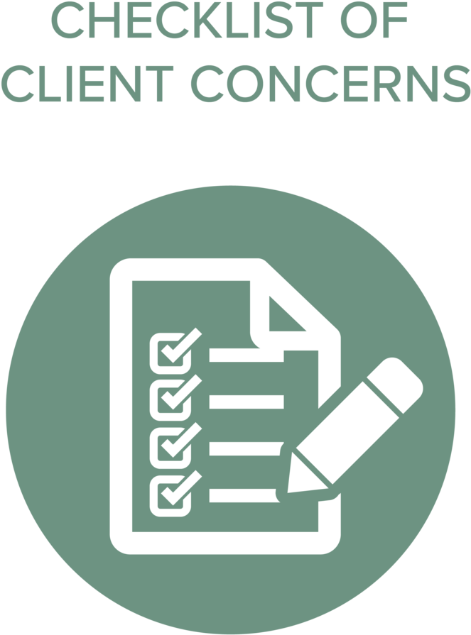 Download Checklist Of Clients Concerns - Icon PNG Image with No ...
