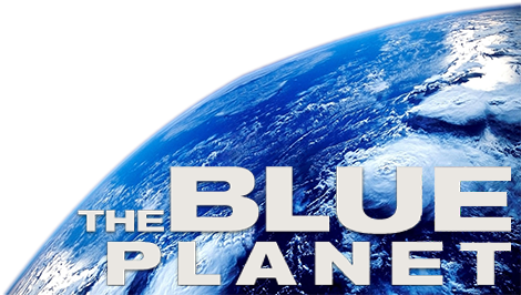 Download The Blue Planet Tv Show Image With Logo And Character - Blue ...