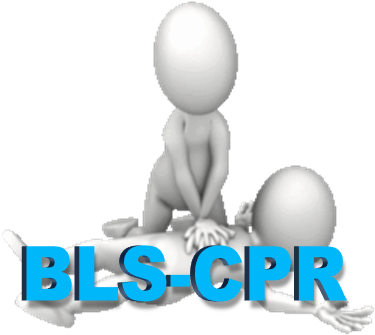 Download Bls Course Logo PNG Image with No Background - PNGkey.com