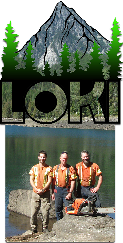 Download Loki Tree Service Arborist & Contracting Services In - Poster ...