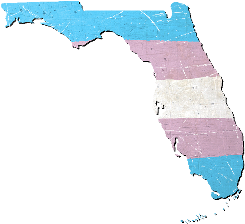 Florida Silhouette Transgender Pride Flag - Atlas - Free Transparent ...