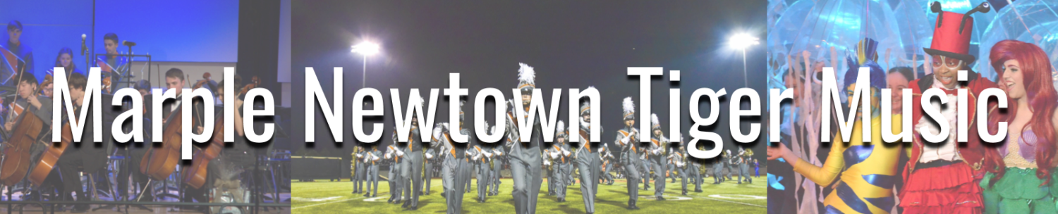 Download Marple Newtown Tiger Music - Music PNG Image with No ...