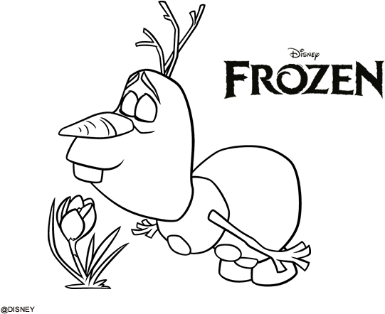 Download Desenho De Frozen Olaf Para Colorir Colorir Com - Frozen Olaf ...