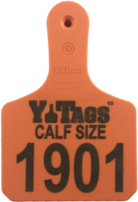 Download Y Tex Y Tags 1 Pc Calf Custom 1 Side Ear Tags - Y-tex ...