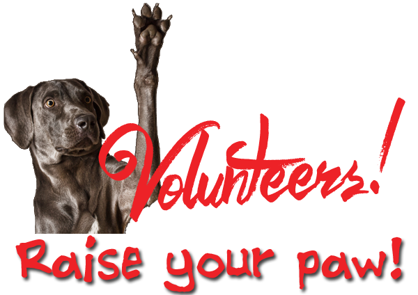 Download Raise Your Paw - Dog Training PNG Image with No Background ...