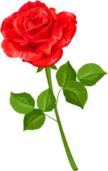 Download Rose Png - Ross Flower Png PNG Image with No Background ...