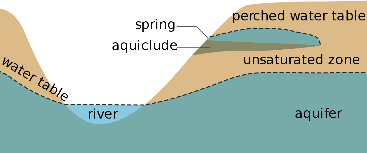 Nappe Perchée - Free Transparent PNG Download - PNGkey