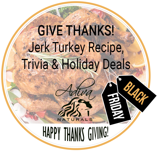 Download Happy Thanks Giving Jerk Turkey Recipe, Trivia And - Poster ...