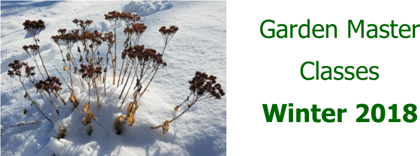 Download Garden Master Class Catalog Winter 2018 - Snow PNG Image with ...