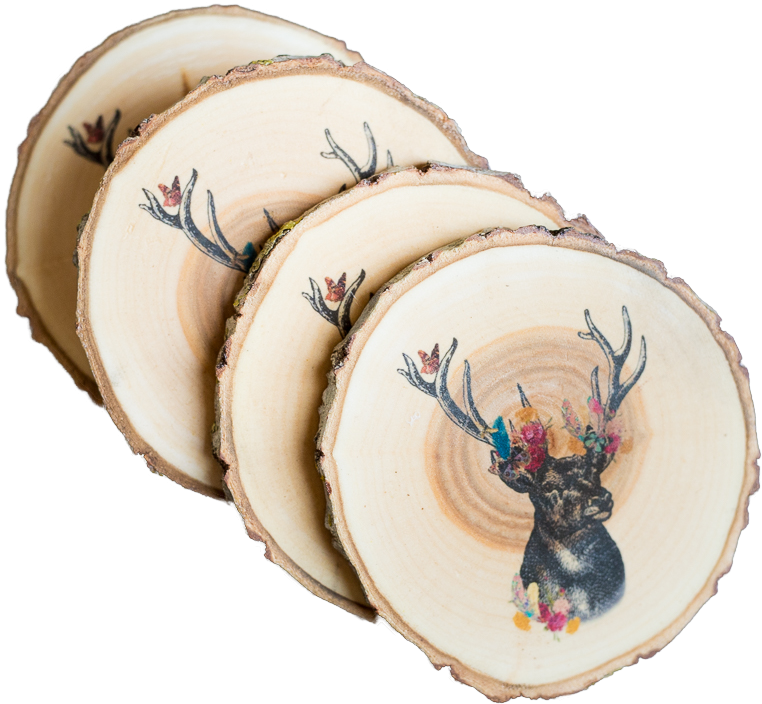 Download Floral Stag - Drink Coaster PNG Image with No Background ...