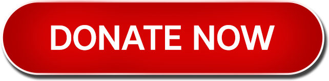 Donate-button - Donate Now - Free Transparent PNG Download - PNGkey