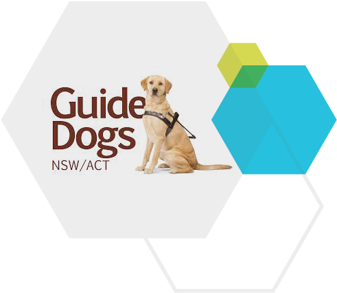 Download Forum Image About Guide Dogs - Guide Dogs Nsw PNG Image with ...