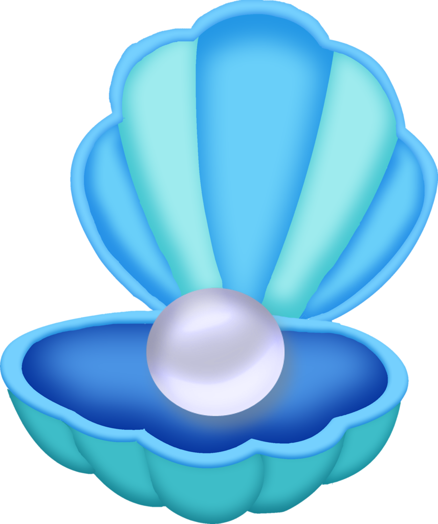 √ Download Gratuito Conchas Desenho Png Conchas Do Mar Desenho Png