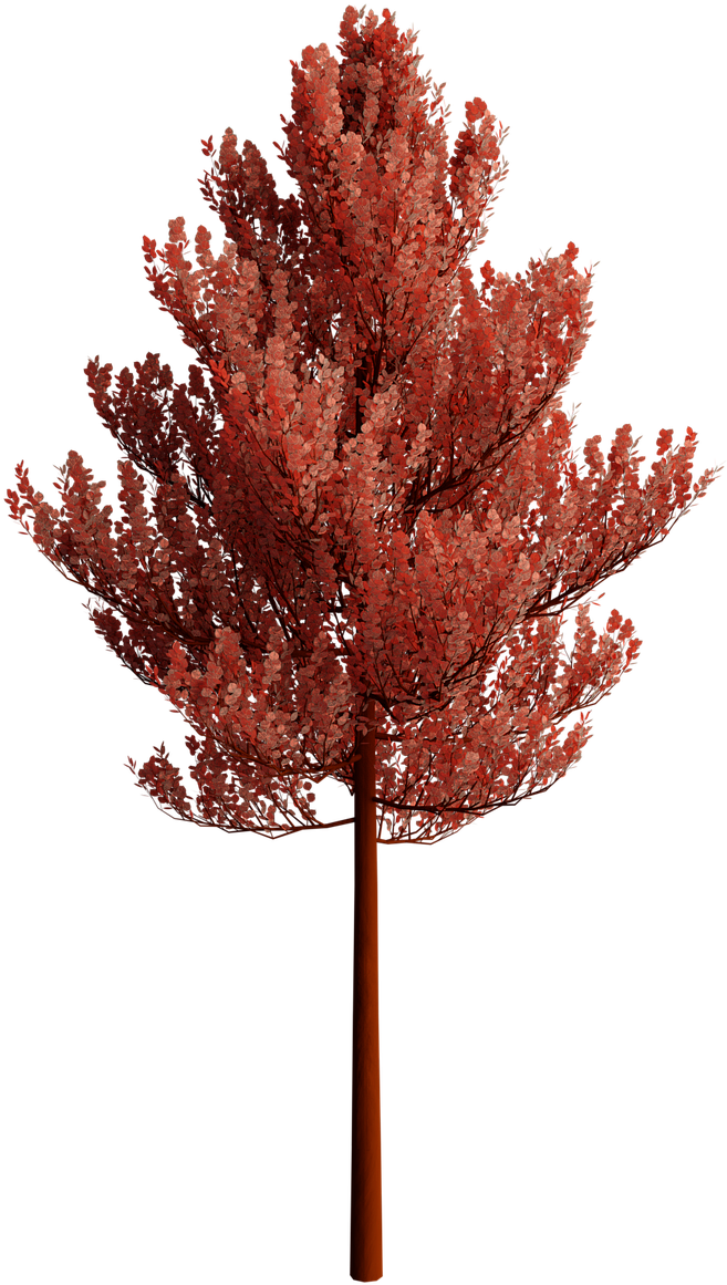 Nature Tree Transparent Background - Maple Tree Transparent Background ...