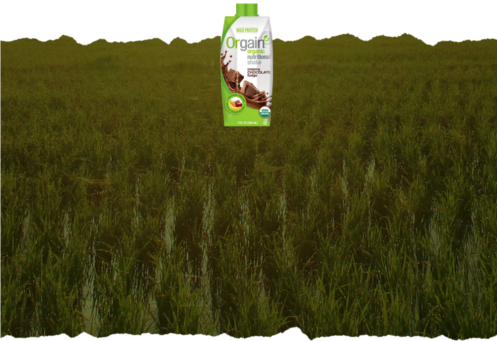 Download Orgain Protein Powder Drink PNG Image with No Background ...