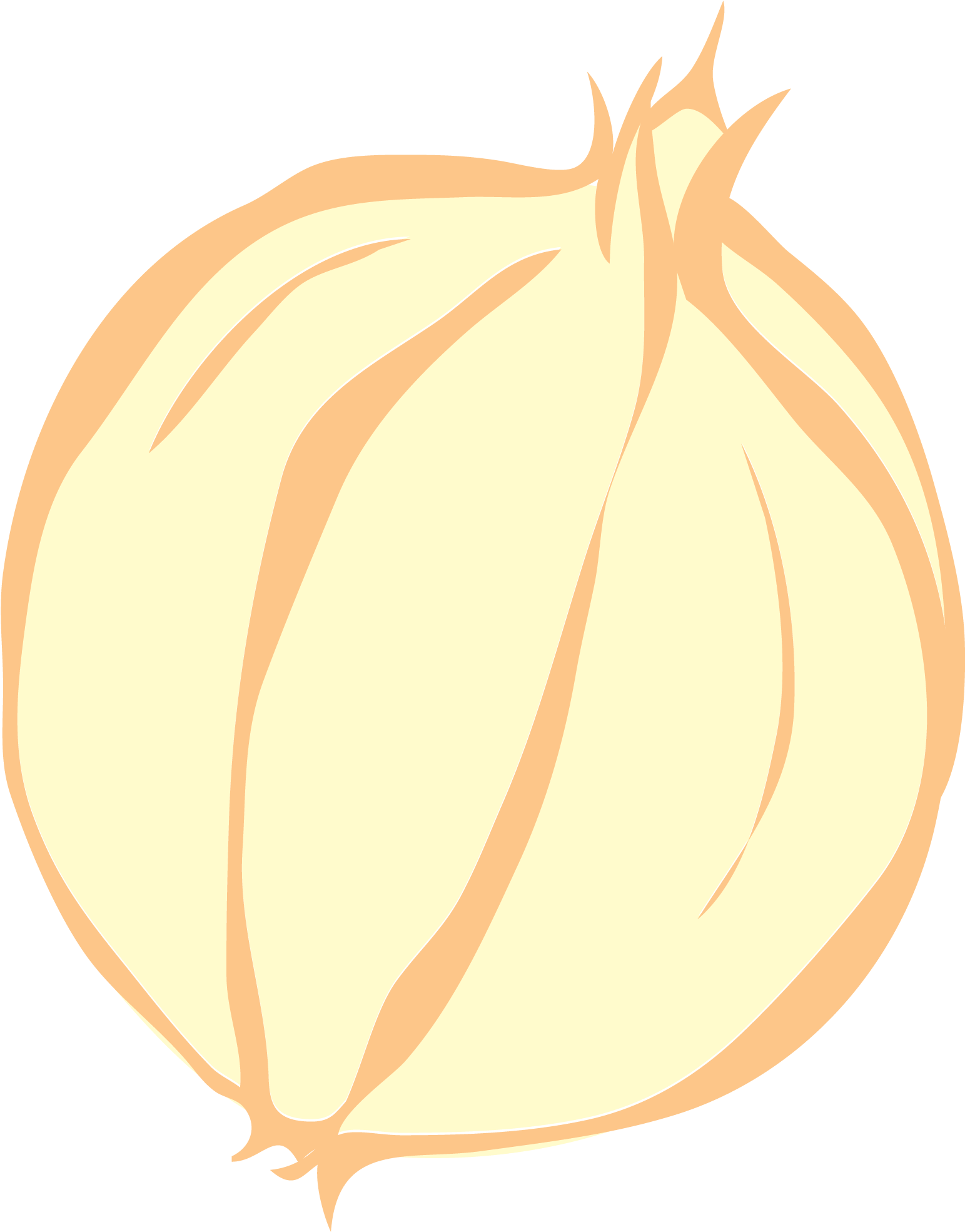 Download Onion Vector Clip Art - Garlic PNG Image with No Background ...