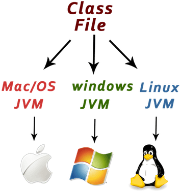 Download Platform Independent Java - Gangsta Penguin Note Cards (pk Of ...