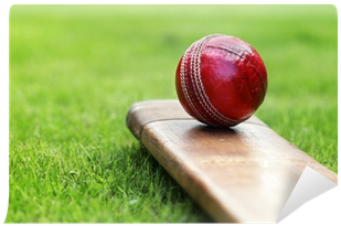 Download Cricket Is My First Love PNG Image with No Background - PNGkey.com
