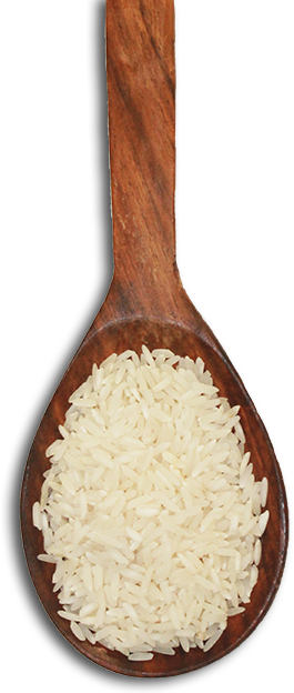 Rice - Free Transparent PNG Download - PNGkey