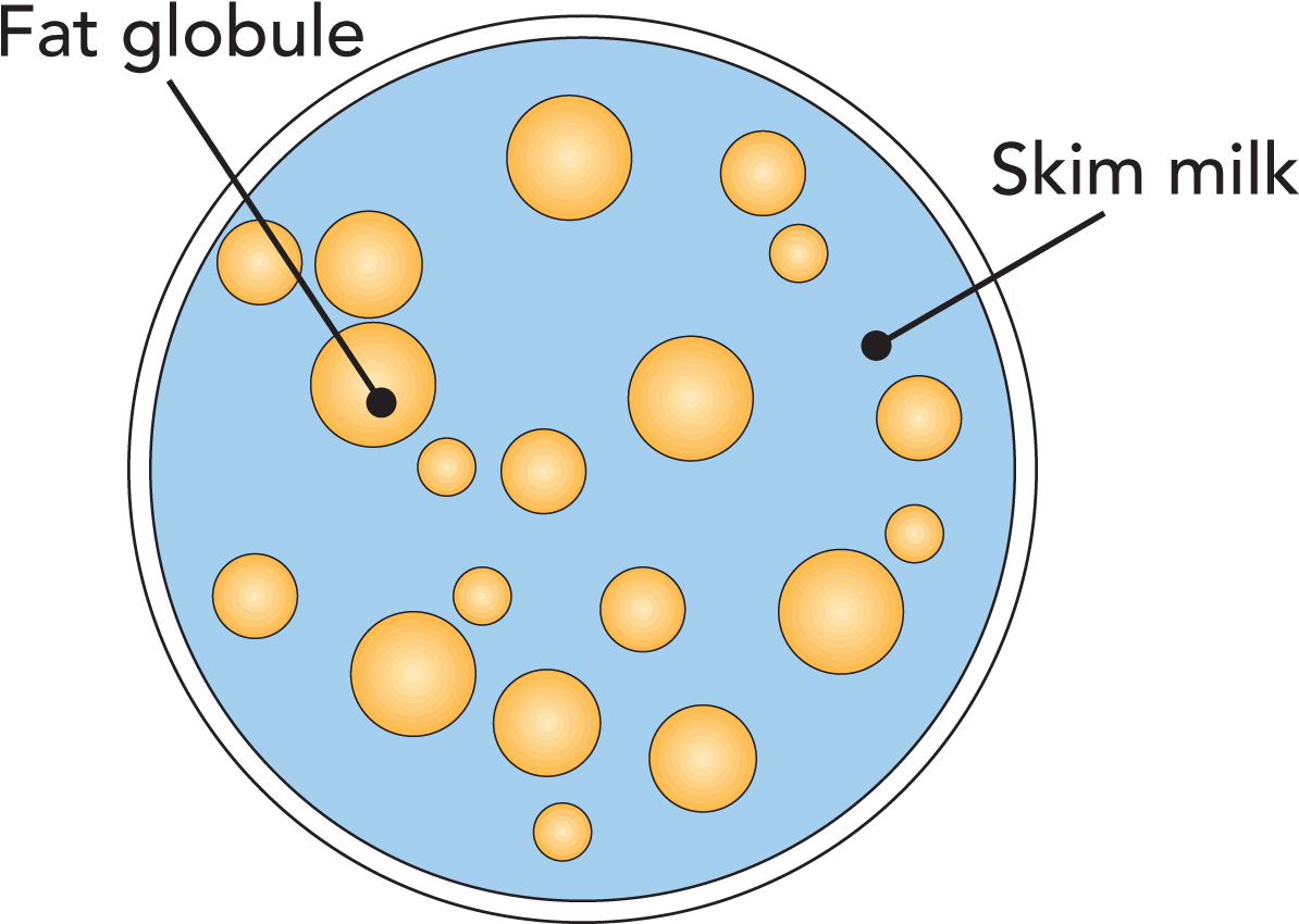 Download Zoom - Milk PNG Image with No Background - PNGkey.com