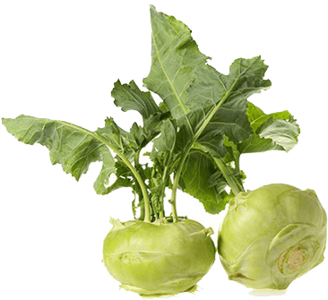Download Nokol Vegetable In English PNG Image with No Background ...