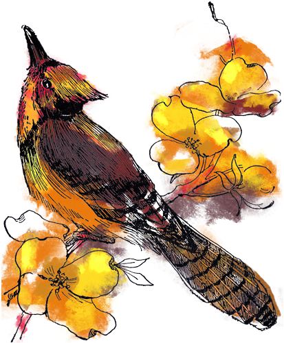 Download Describing Words Logo - Word PNG Image with No Background ...