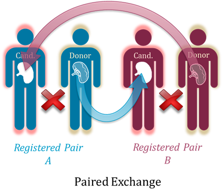 Download Paired Exchange Cand Final - Pathophysiology Of Sanjad Sakati ...