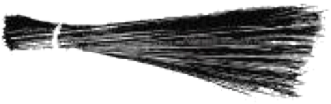 Download Aap Symbol - Aam Aadmi Party Logo Png PNG Image with No Background - PNGkey.com