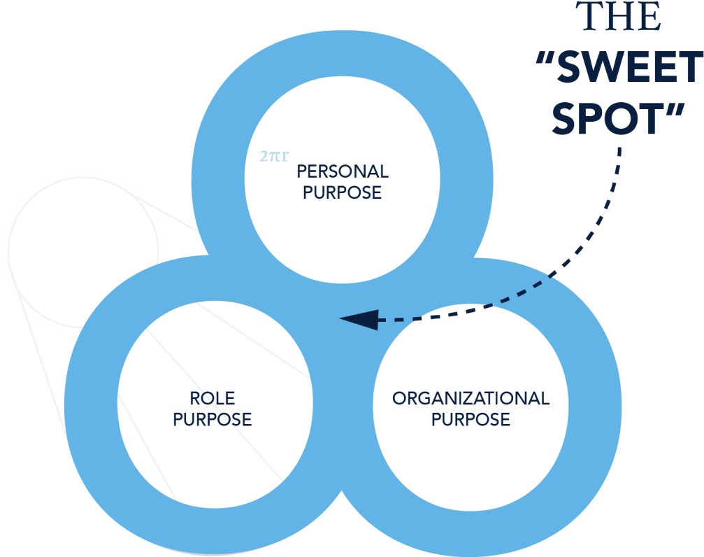 Diagram Sweet Spot Clear Background - Dan Pontefract The Purpose Effect ...