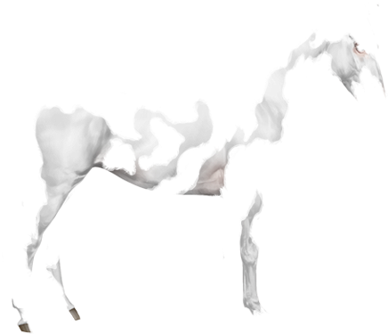 Download Illustration PNG Image with No Background - PNGkey.com