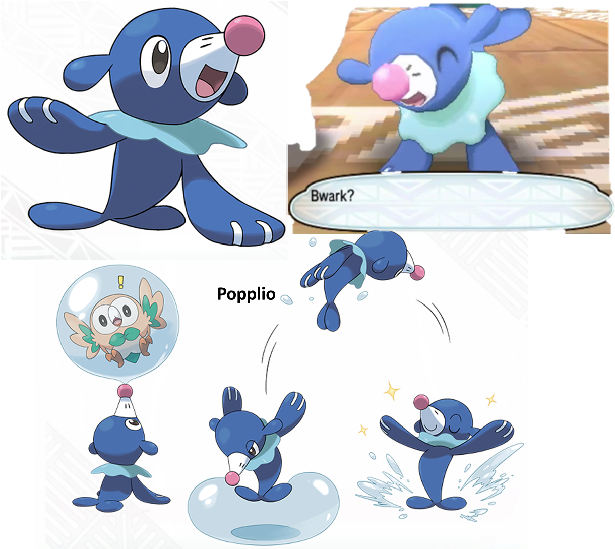 Download Popplio Sea Lion Pokémon Sun Moon Water Starter - Pokemon Cat ...