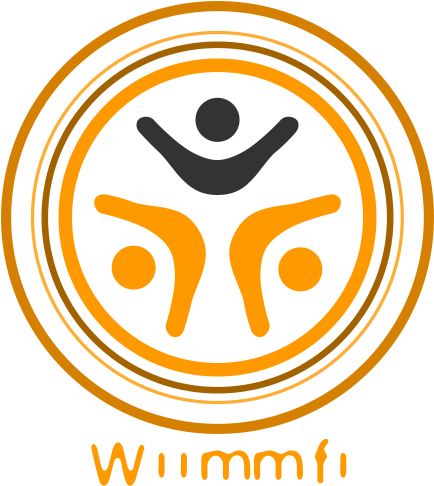 Download Jugar Online A Mario Kart Wii En - Wiimmfi Logo PNG Image with ...