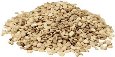 Download Hemp Seed Png PNG Image with No Background - PNGkey.com
