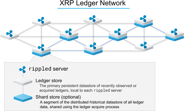 Download Xrp Ledger Network - Blog PNG Image with No Background - PNGkey.com