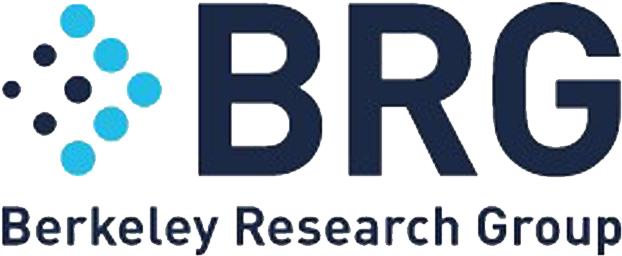 Download Berkeley Research Group Logo PNG Image with No Background ...