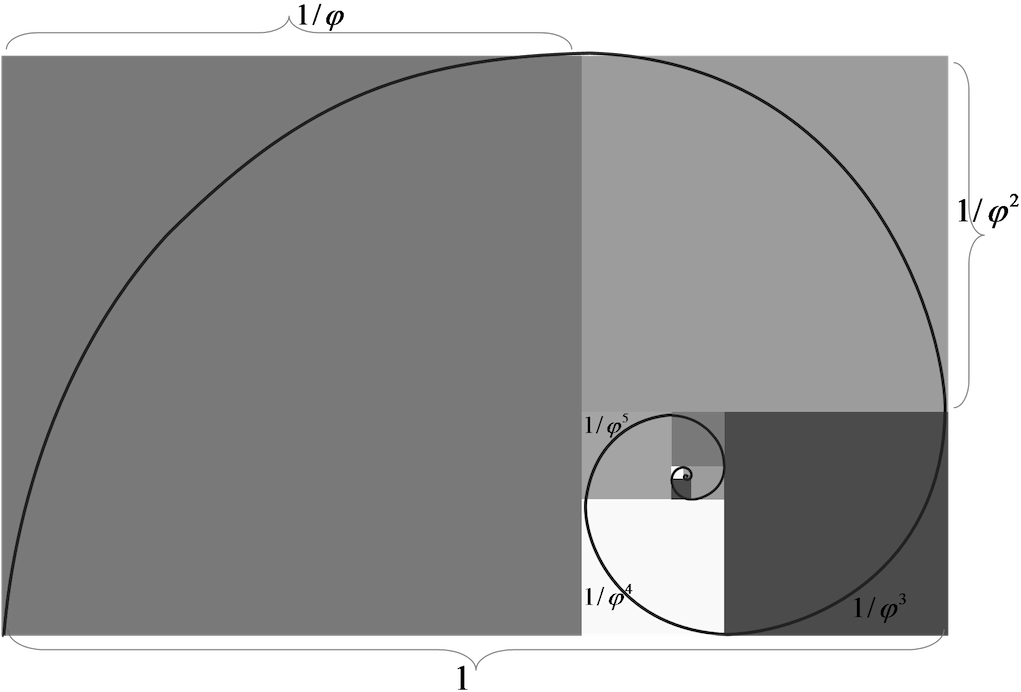 The Golden Ratio Is Everywhere - Circle - Free Transparent PNG Download ...