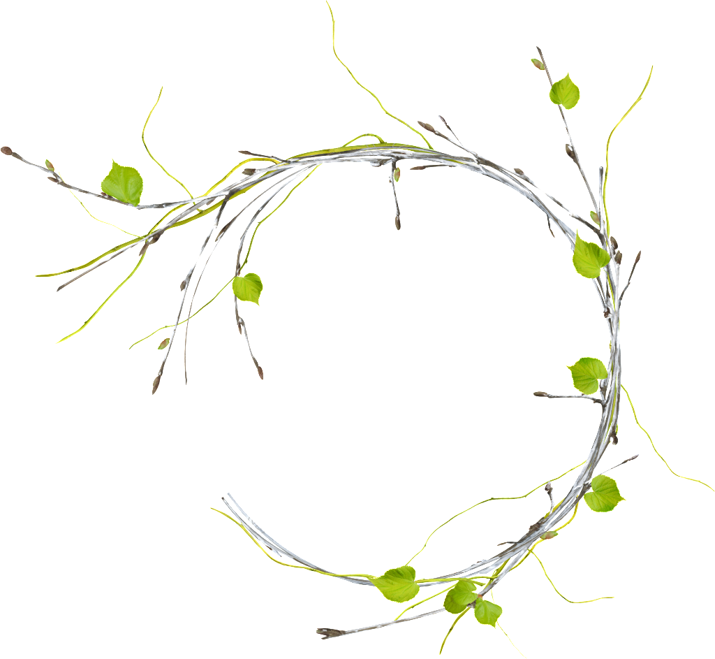 Download Banner Free Stock Branch Circle Png Transparent Free ...