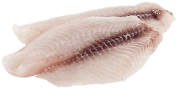 Download Tilapia Fillets - Fish PNG Image with No Background - PNGkey.com