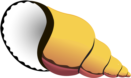 Download Seashell Free Clip Art Sea Shells Clipart - Hermit Crab Shell ...