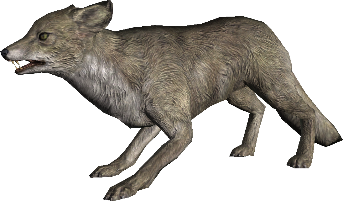 Download Png Snow Fox PNG Image with No Background - PNGkey.com