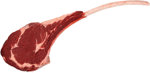 Download Donald Russell Ltd PNG Image with No Background - PNGkey.com