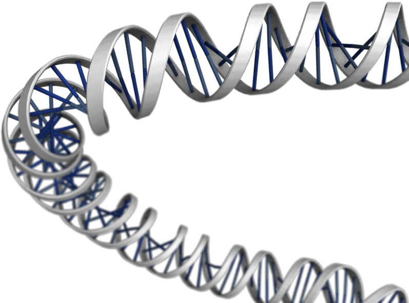 3d Dna Png Download - Dna Structure 3d Png - Free Transparent PNG ...
