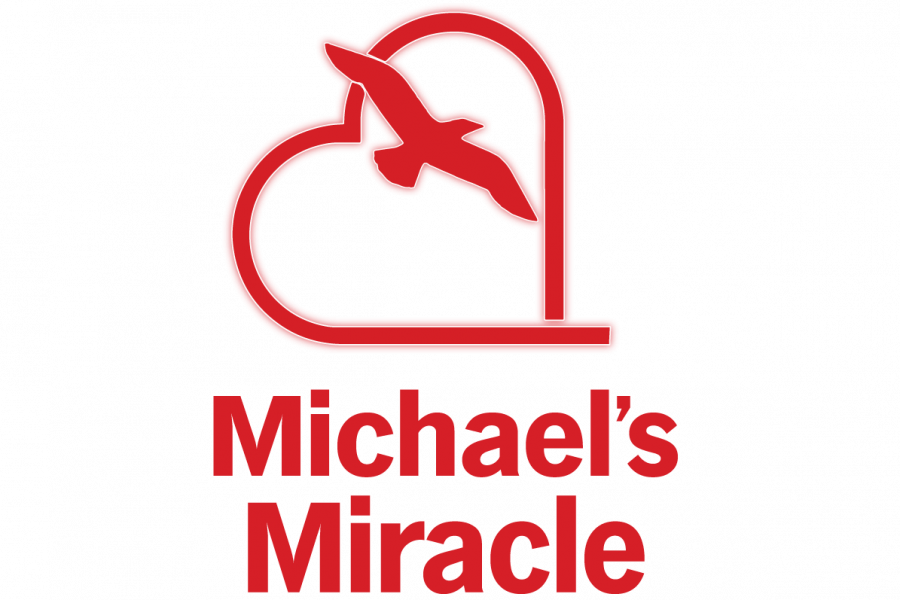 Michael's Miracle Marathon Team - Children's Miracle Network Logo Png ...