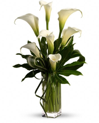Download Stately Callas - White Calla Lily Flower Bouquet PNG Image ...