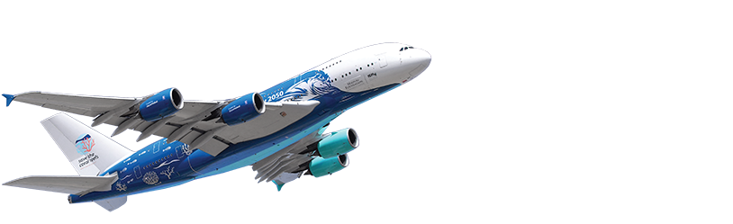 Aviao Png